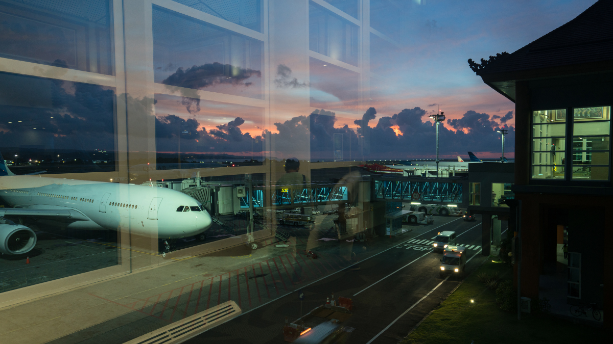 Terminal – Crooked Forest